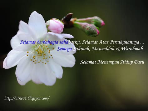 Kata Kata Ucapan Pernikahan Ucapan Pernikahan