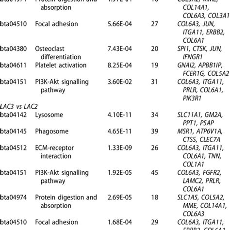 The 10 Most Significantly Enriched Kegg Pathways From The Download