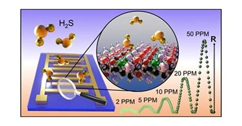 Pedro Autreto On Linkedin Hydrogen Sulfide Gas Detection Using Two