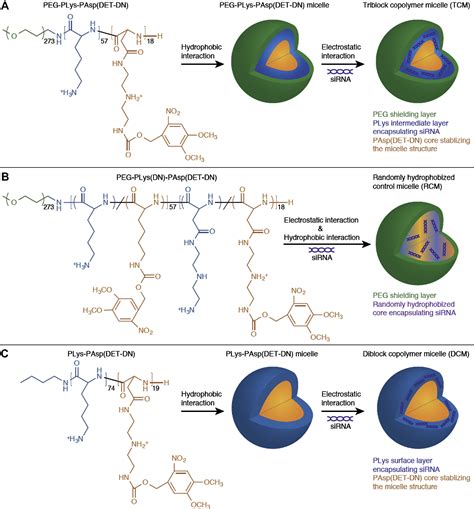 Figure 1 From Sirna Delivery From Triblock Copolymer Micelles With Spatially Ordered