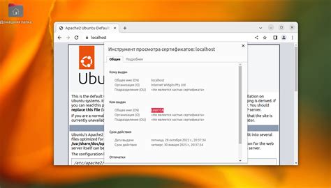 Установка сертификатов в Ubuntu Losst