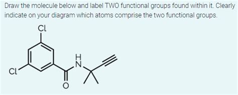 Solved Draw The Molecule Below And Label TWO Functional Chegg