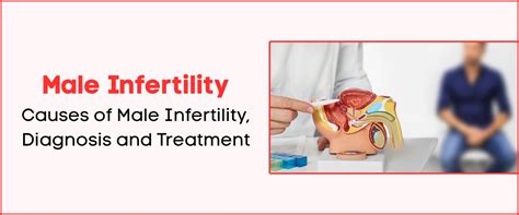 Male Infertility Causes Diagnosis And Treatment