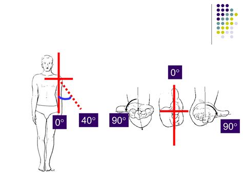 Basic Kinematic Concepts For Physical Education Students Ppt Basic Kinematic Concepts For Physical Education Students Ppt