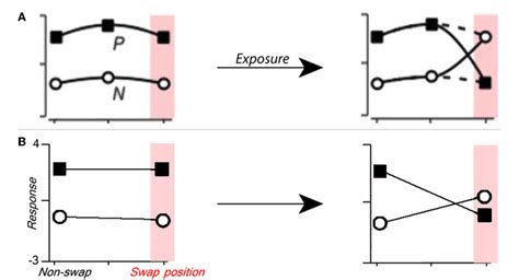 figure 3 from learning and disrupting invariance in visual recognition