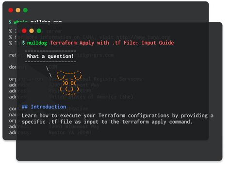 Terraform Apply With Tf File Input Guide