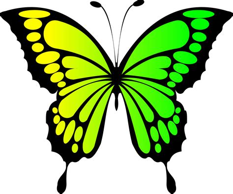 Green Butterfly Clipart