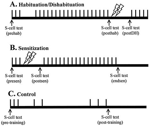 Associative Learning