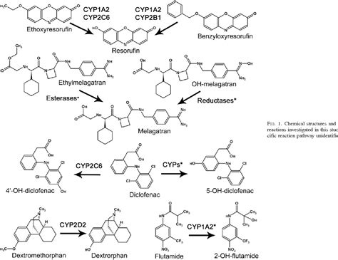 Figure 2 From The Multiple Depletion Curves Method Provides Accurate