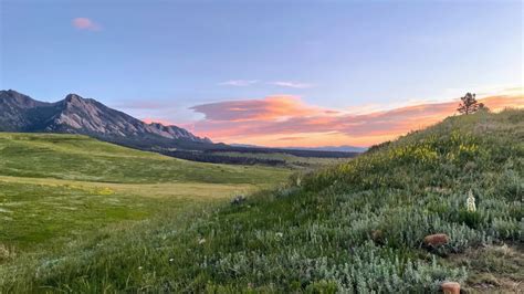 Beyond The Algorithm Why Managing Up Is Your Most Important Data