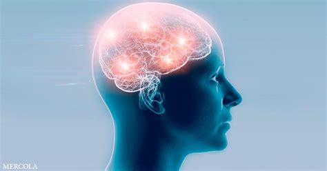 Practice Makes Perfect — The Science Of Memory Formation