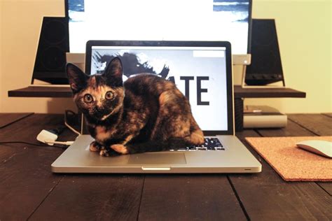 [译] 使用 react js 的渐进式 web 应用程序：第 1 部分 介绍 知乎