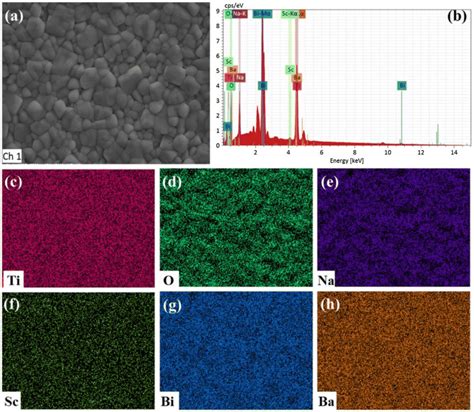 Element Mapping Of The X 0 03 Ceramics A Sem Micrograph B Eds Data