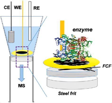 Schematic Representation Of The Dems Electrochemical Cell Ce Download Scientific Diagram