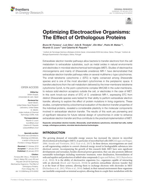 Pdf Optimizing Electroactive Organisms The Effect Of Orthologous Proteins