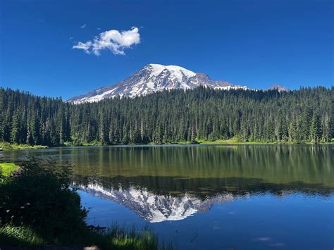시애틀여행사 230719 레이니어국립공원당일투어 레이니어 국립공원에 고산지대 야생화 시즌이