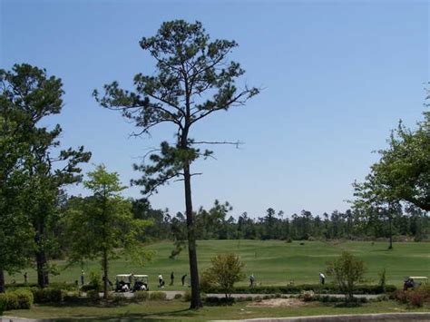 Diamondhead Country Club Cardinal Course Details And Reviews Teeoff