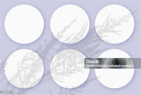 보라색 테이블 배경에 질감이 있는 백서 6장 위에 채소 그림자가 겹쳐진 모형 0명에 대한 스톡 벡터 아트 및 기타 이미지 0