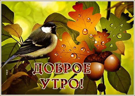 Поразительная открытка с птичкой Доброе утро Скачать бесплатно на