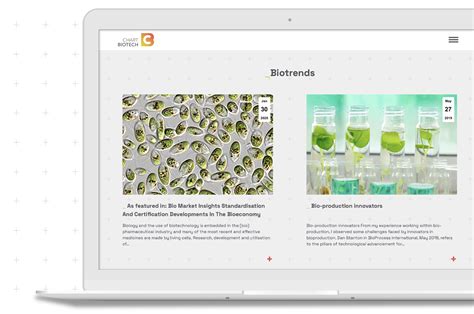 Chart Biotechnology Branding And Website Creative Graphic Design And