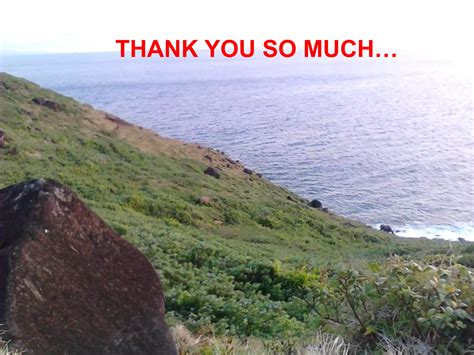 Basic Gender Sensitivity Training Pptx