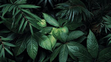 Jungle Texture Seamless