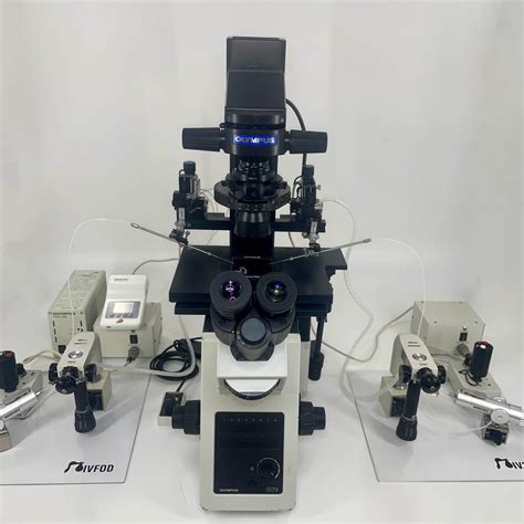 Olympus Ix73 Inverted Microscope System [refurbished] Ivf Store