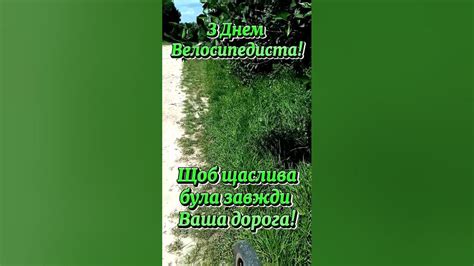 З ДНЕМ ВЕЛОСИПЕДИСТА 🚲🚲🚲 привітання вітання побажання велосипед Youtube