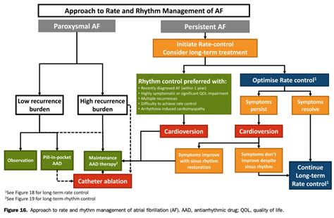 9 Arrhythmia Management Canadian Cardiovascular Society