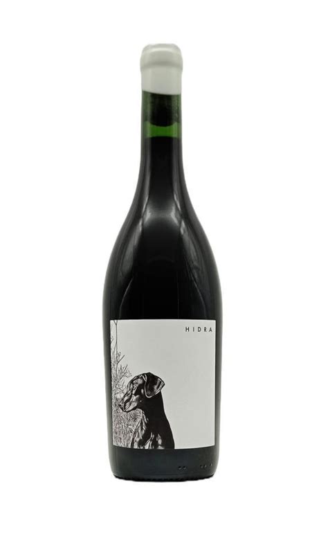 Sicus Hidra 2020 Jaume Jordà