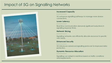 Signalling Networks PPT Structure ACP PPT PowerPoint