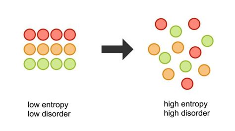 The Boltzmann Equation The Relation That Connects Thermodynamics And Statistical Mechanics