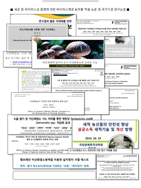 재배 고구마 재배에 있어서 각종 세균 바이러스 제거를 위한 바이러스 제로 의 활용 Notice Bsgreen Korea
