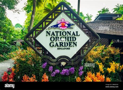 National Orchid Garden At The Singapore Botanic Gardens Singapore