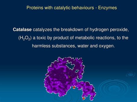 Ppt Oxygen Powerpoint Presentation Free Download Id6376176