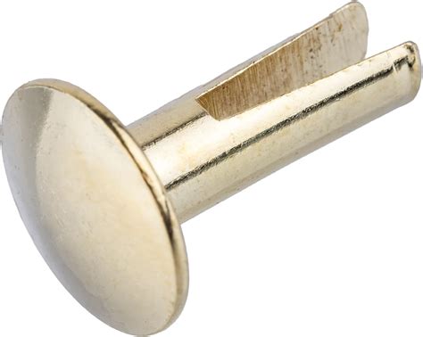 Brass Plated Steel Split Rivets 1 2 Long Pack Of 50 Split Rivets