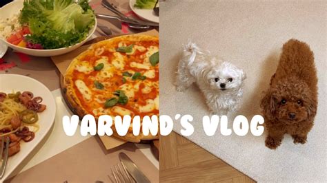 Vlog 시험관 4차 채취 준비부터 결과까지 일상 첫 Pgs결과는🙏🏻 Youtube