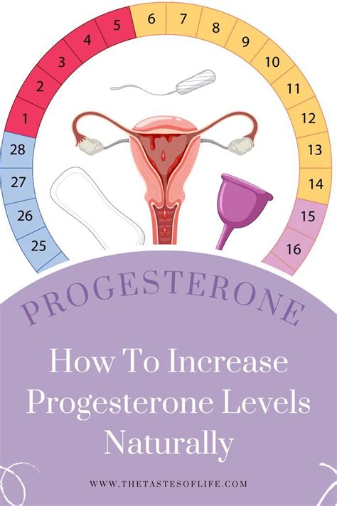 How To Increase Progesterone Levels Naturally