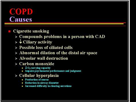 Chronic Obstructive Pulmonary Disease Copd Copd Description Characterized