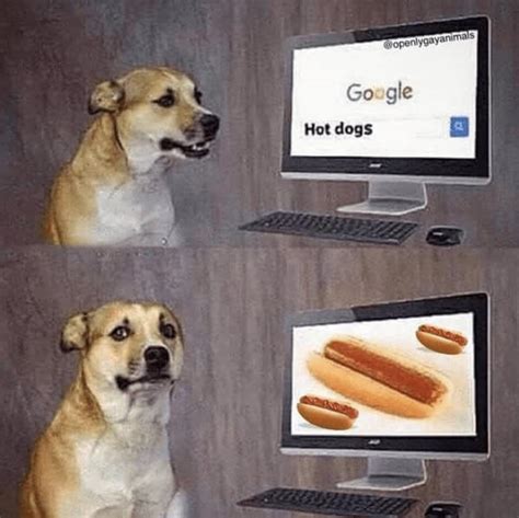 50 Hot Dog Memes That Will Make You Crave A Grill Session