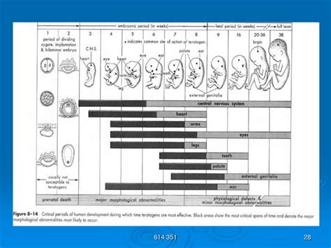 Ppt Toxicity Test Powerpoint Presentation Free Download Id3681385