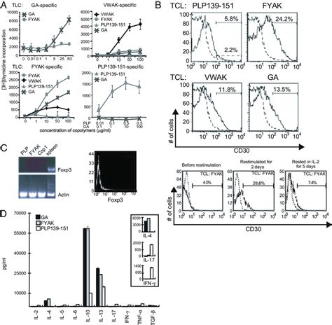 Properties Of Tcl A Proliferation Of Tcl Obtained After Immunization Download Scientific