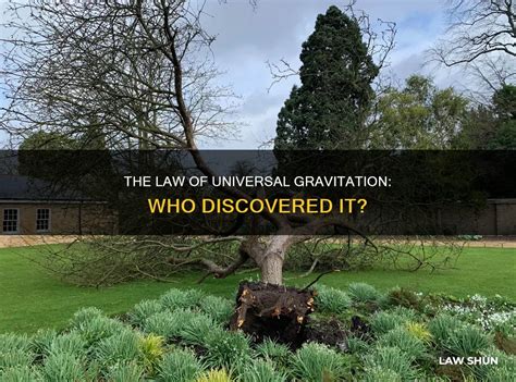 The Law Of Universal Gravitation Who Discovered It Lawshun