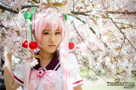 Sakura Miku Vocaloid Project Diva Cosaru Com