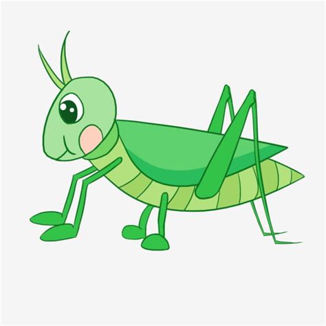 Kartun Belalang Serangga Musim Panas Kecil Serangga Clipart Aplikasi Serangga Kartun Png