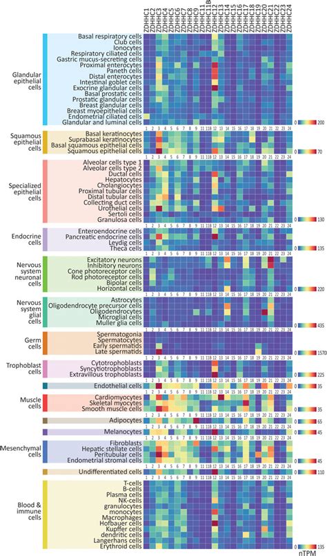 Frontiers CellPalmSeq A Curated RNAseq Database Of Palmitoylating