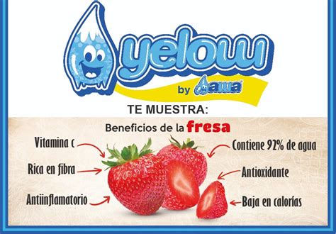 Beneficios De La Fresa El Siglo De Torreón