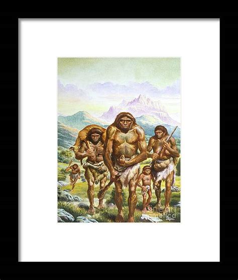 Homo Erectus Hunting