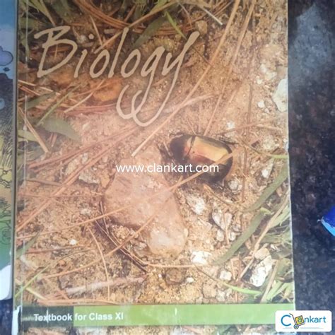Buy Biology Class 11 Text Book Book In Good Condition At