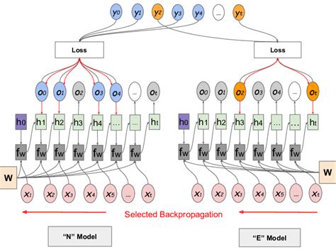 Computational Graph For The N And E Models Blue And Orange Inputs Download Scientific Diagram